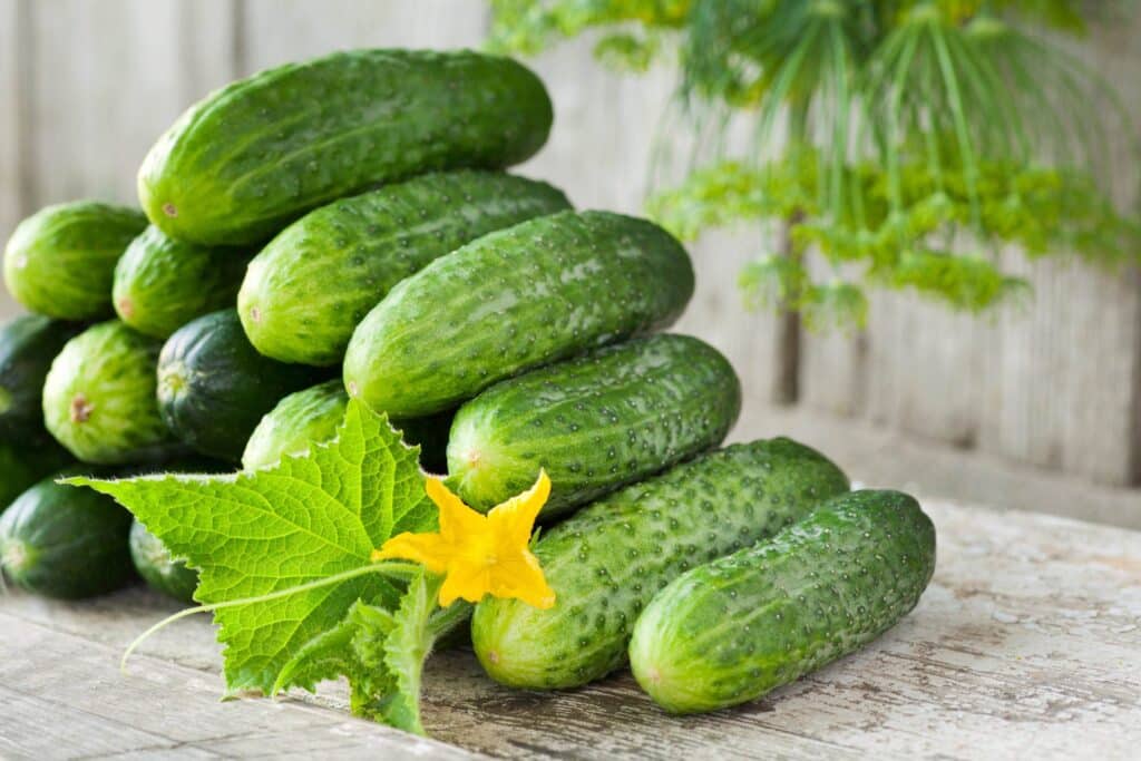 BIO Fürtös uborka (0,5 kg) | Zöldségesem.hu